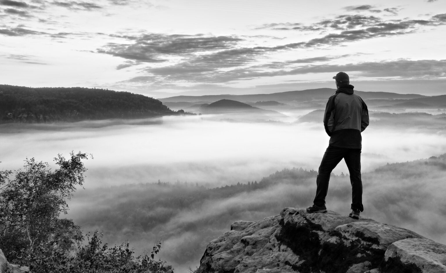 Pink Cloud: Meaning, Timeline & Why it’s Dangerous